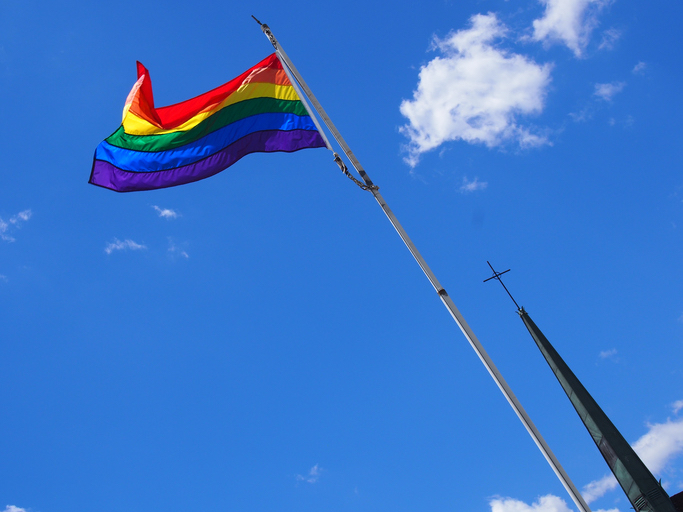- Blog ArchiveLGBTQ Mormons Struggle With Issues of Faith and Identity